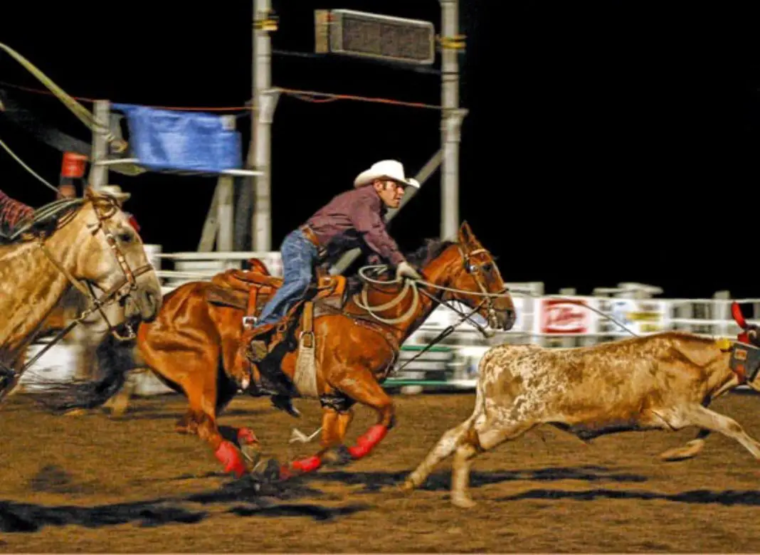 Riley County Commission creates task force for fairgrounds future ...