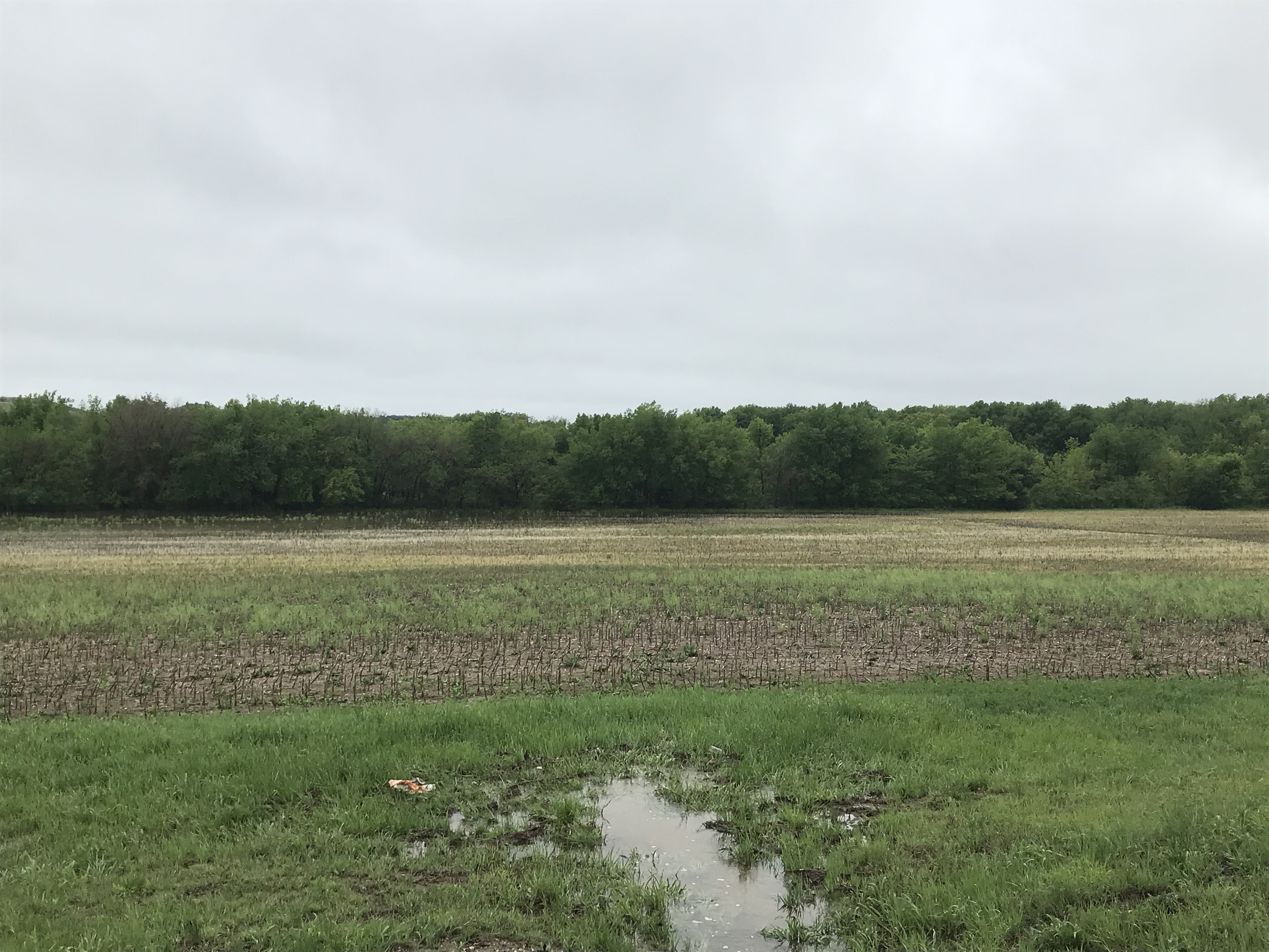 Blaski 1 - News Radio KMAN