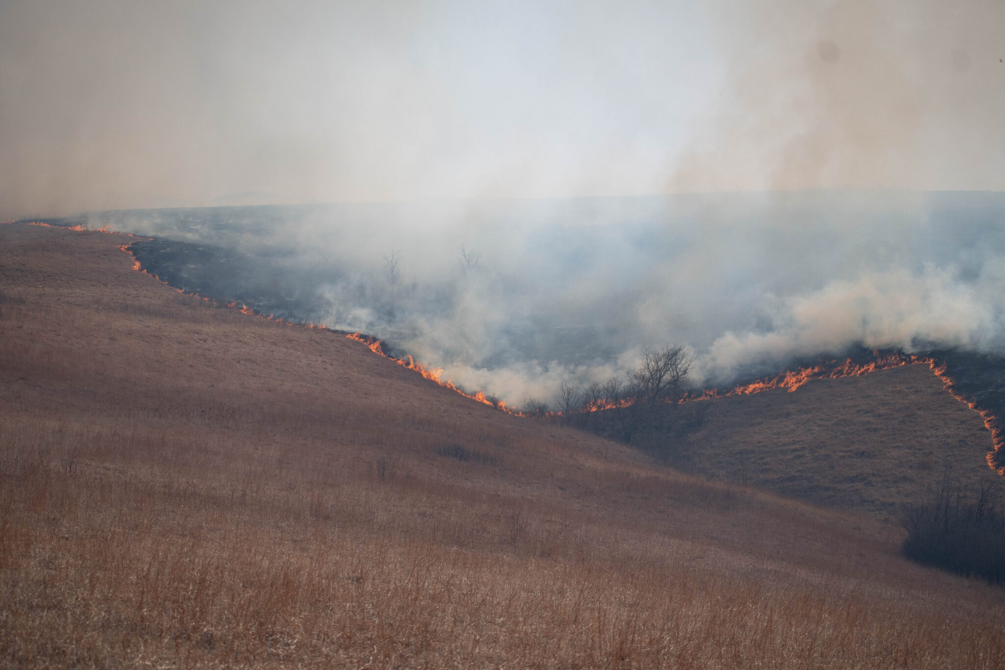 Out-of-control wildfires burn over 3,500 acres in Riley County - News ...