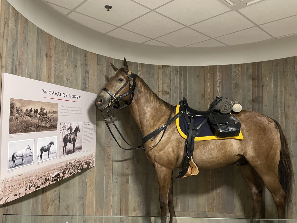 Ribbon cutting ceremony to celebrate Fort Riley museum reopening - News ...