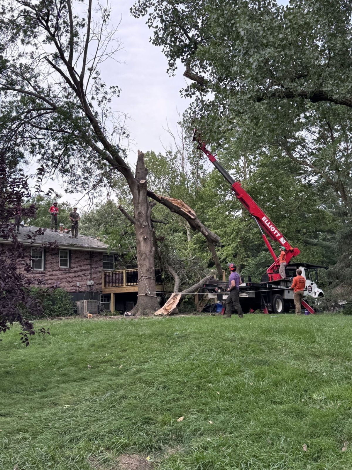 AFTERMATH | Couple says tree that fell through roof also caused ...